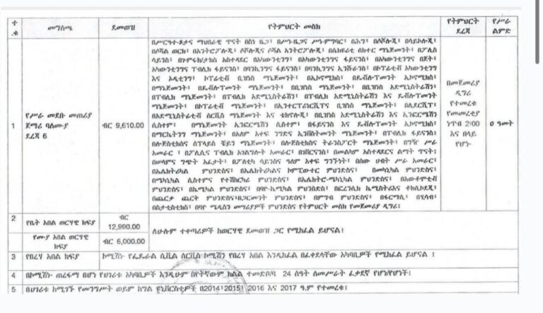 Ethiopian Customs Commission – External Vacancy Announcement - Sheger Jobs